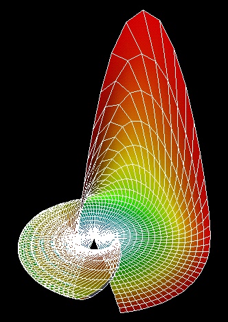 Visualization of Strange Attractors