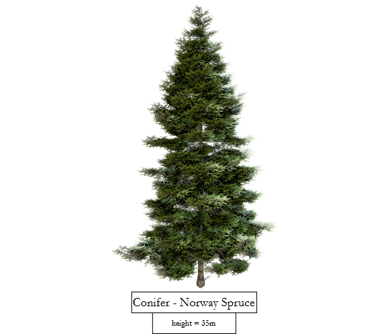 Urban Tree Species Classification And Visualization Tu Wien Research Unit Of Computer Graphics